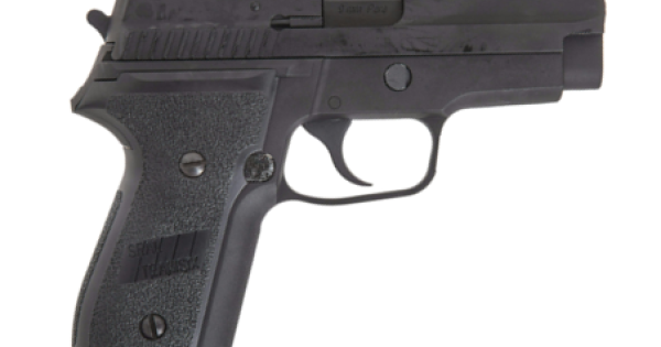 Pistols : WE F229 GBB Pistol (Black)